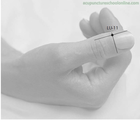 Jarum Sakti: Meridian Paru-paru & Usus Besar