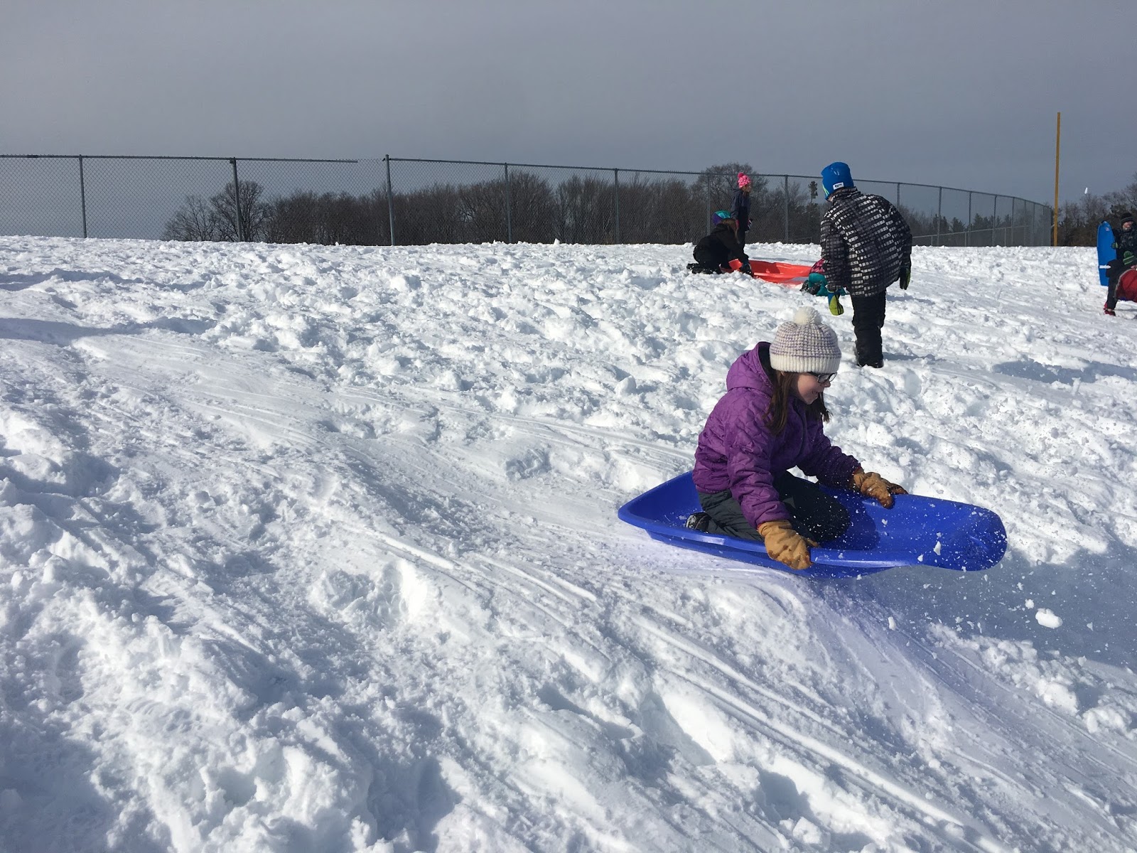Mrs. Smith's classroom blog: All School Sledding