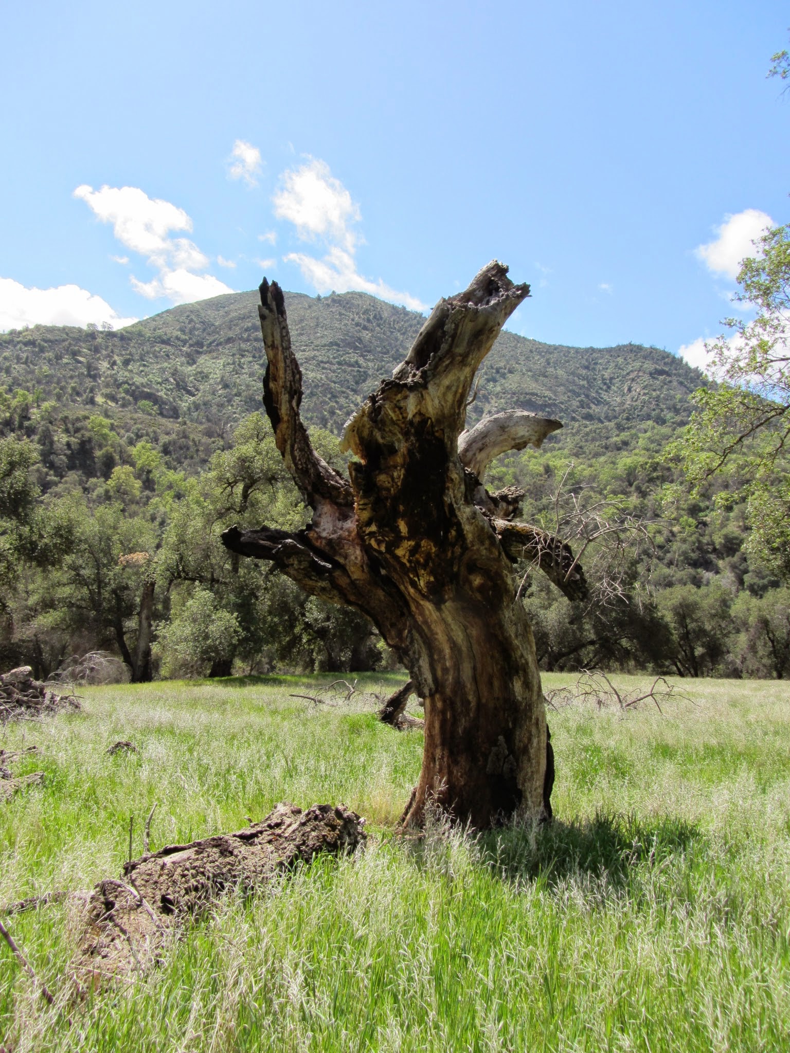 We Be Trekkin: Arroyo Seco Gorge/Santa Lucia Trail- Ventana Wilderness, CA