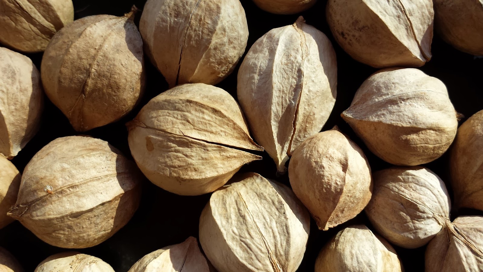 Divinebunbun's Rugged Rural Missouri: November 2013