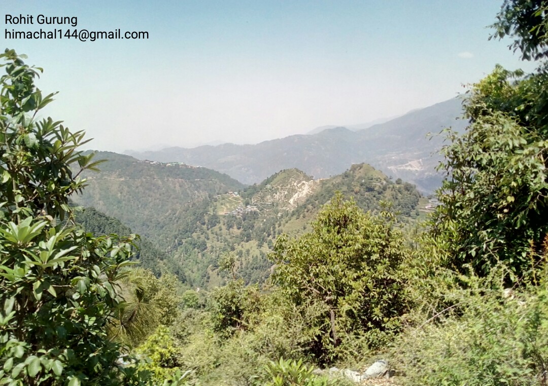 Amazing Himachal: Gallu Waterfall: a Secret Waterfall