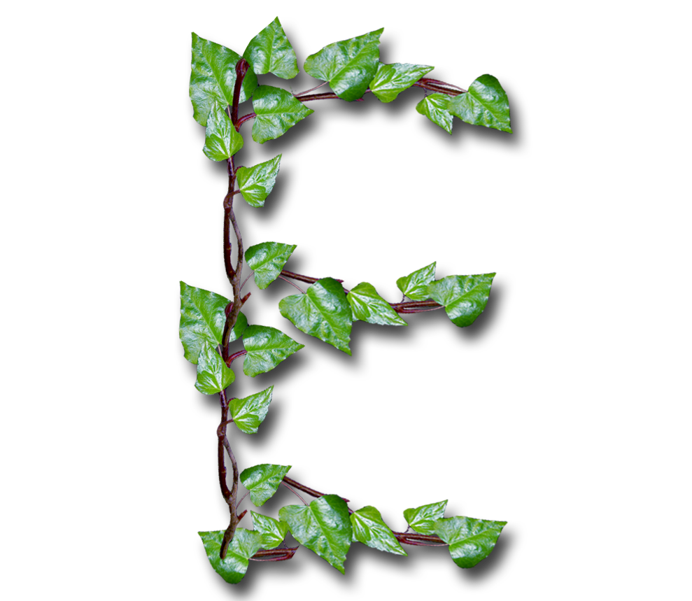 Granny Enchanted's Digital Scrapbook Library: FREE IVY DIGI SCRAPBOOK ...