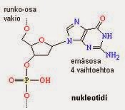 Pääsykoemaraton: Kemia 1: luku 7 Solujen tärkeät orgaaniset yhdisteet