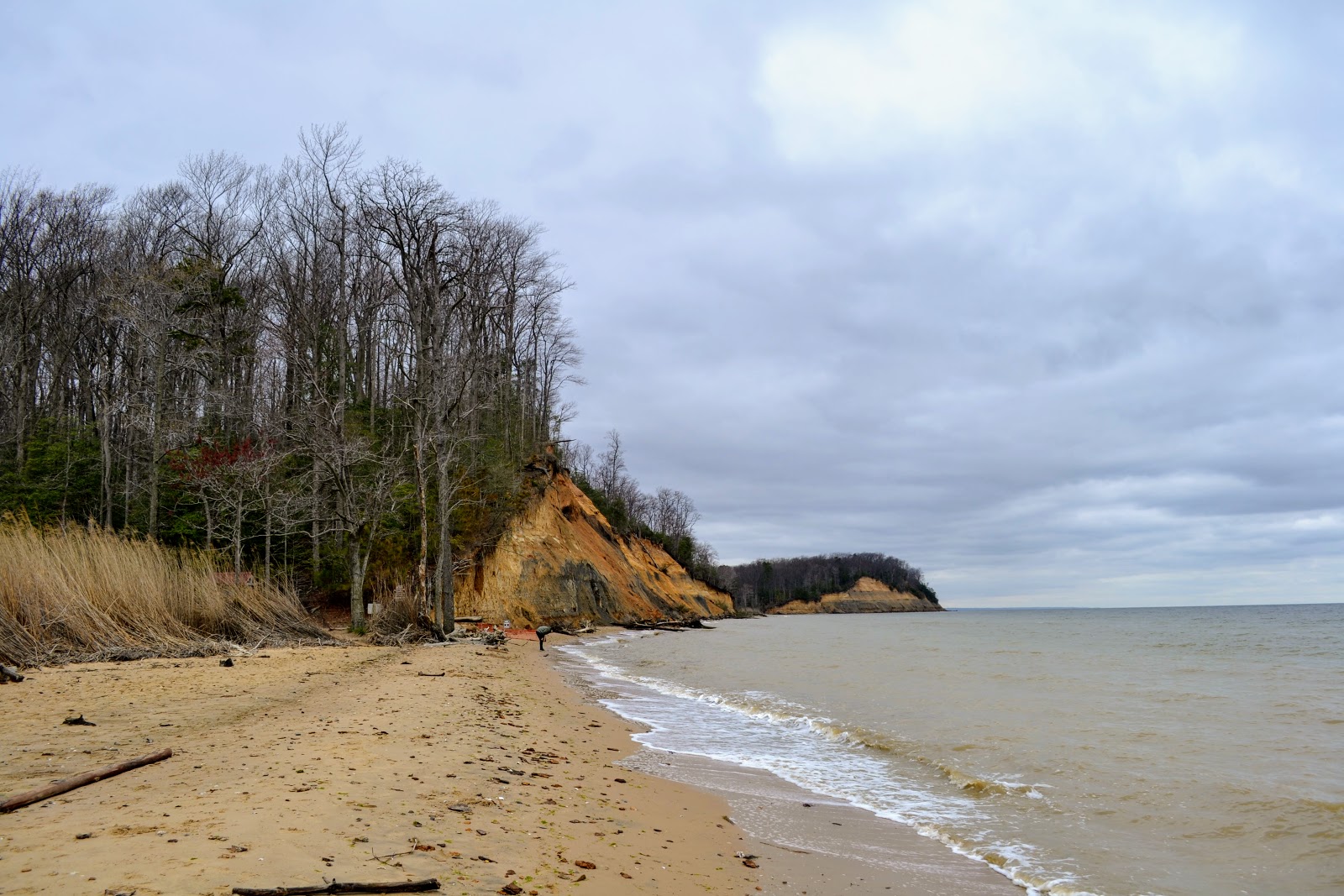 Live free or die: Парк Калверт Кліфс, Меріленд (Calvert Cliffs State ...