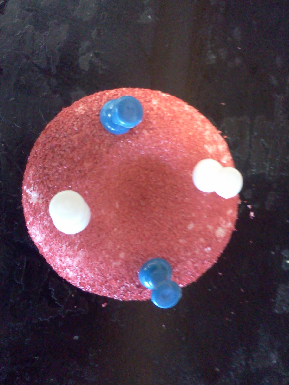 EC Honors Biology: Day 1 of Egg Lab!!