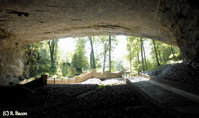 Wander Photo: Cathedral Caverns