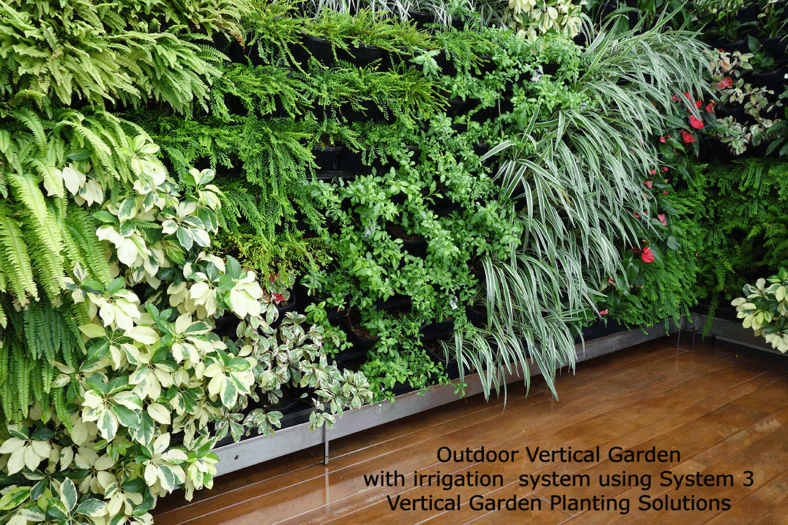 World Class Green Wall Vertical Garden by Technic Garden and Landscape ...