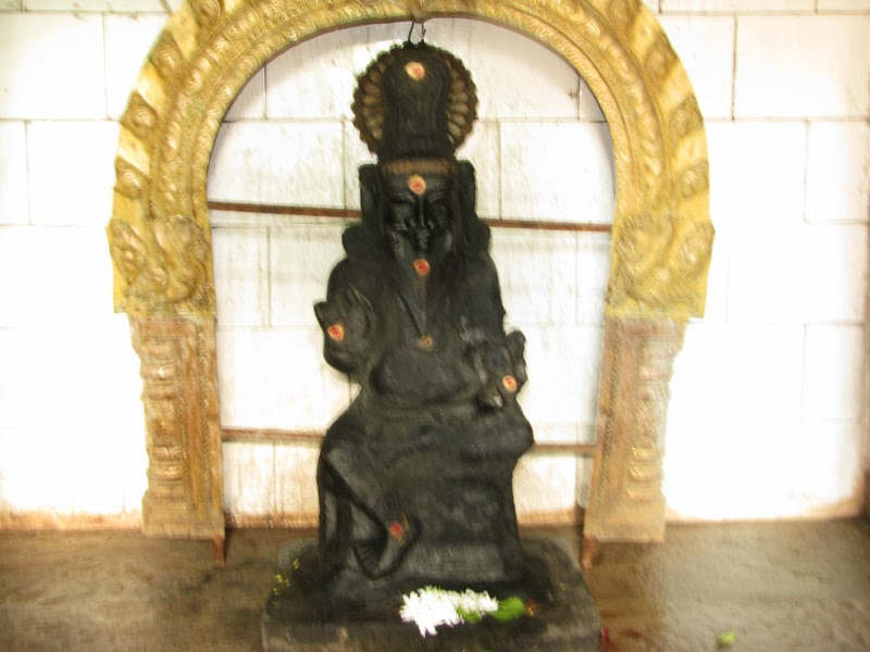 Siddha Heartbeat: THE MANY FACES OF AGATHIYAR