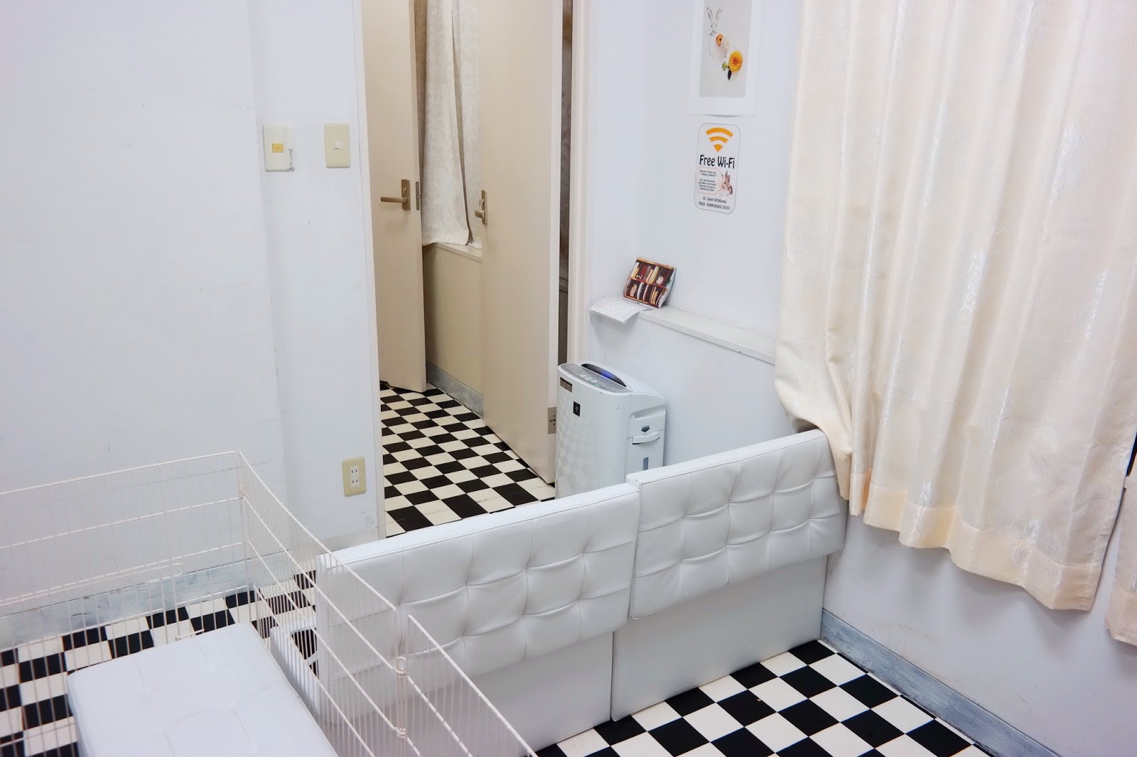 Bunny Cafe in Asakusa, Tokyo (Seriously, a cafe with loads of rabbits ...