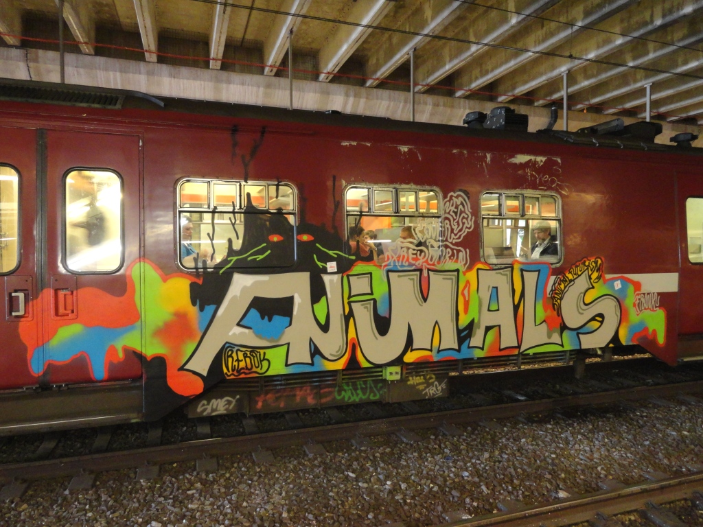 FUZI RAVE Art on Train