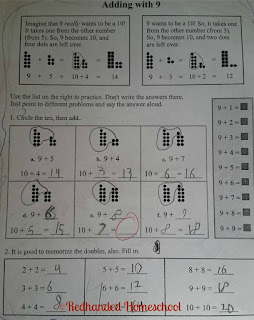 Insane In the Mombrain: Math Mammoth ~ A Homeschool Crew Review