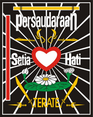 PSHT LALANG LUAS,V KOTO,MUKOMUKO,BENGKULU: NAIM PASHTER