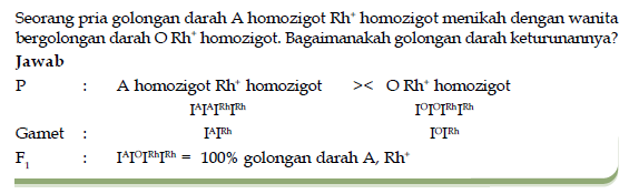 Macam-Macam Jenis Penggolongan Darah Dan Sistem Rhesus Pada Manusia ...