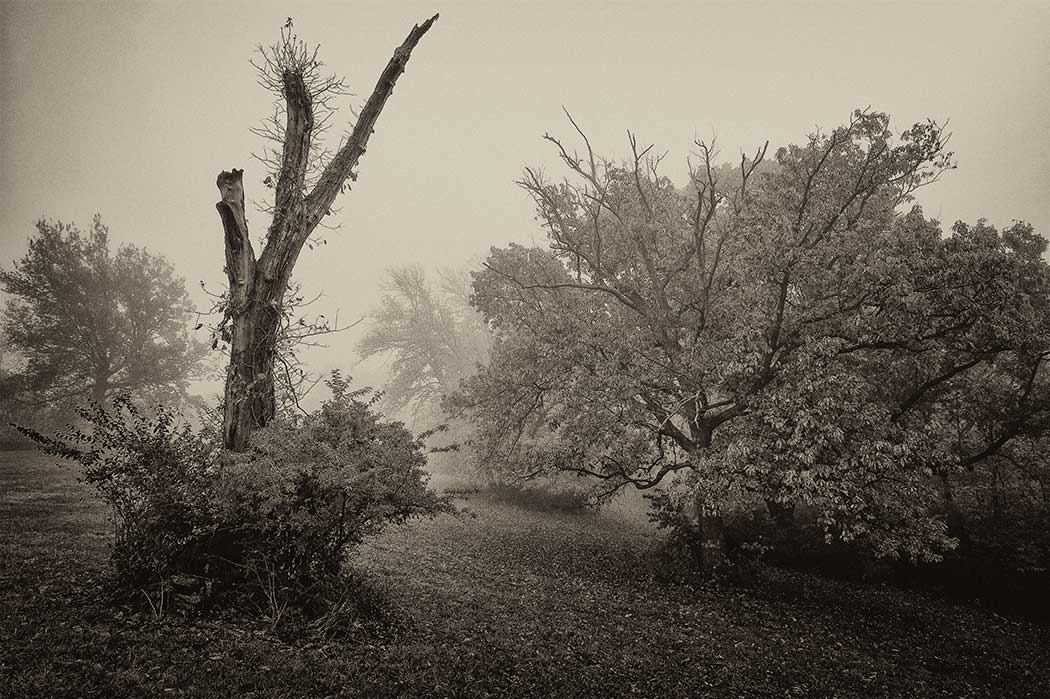 Hyperblogal: Sepia toned images