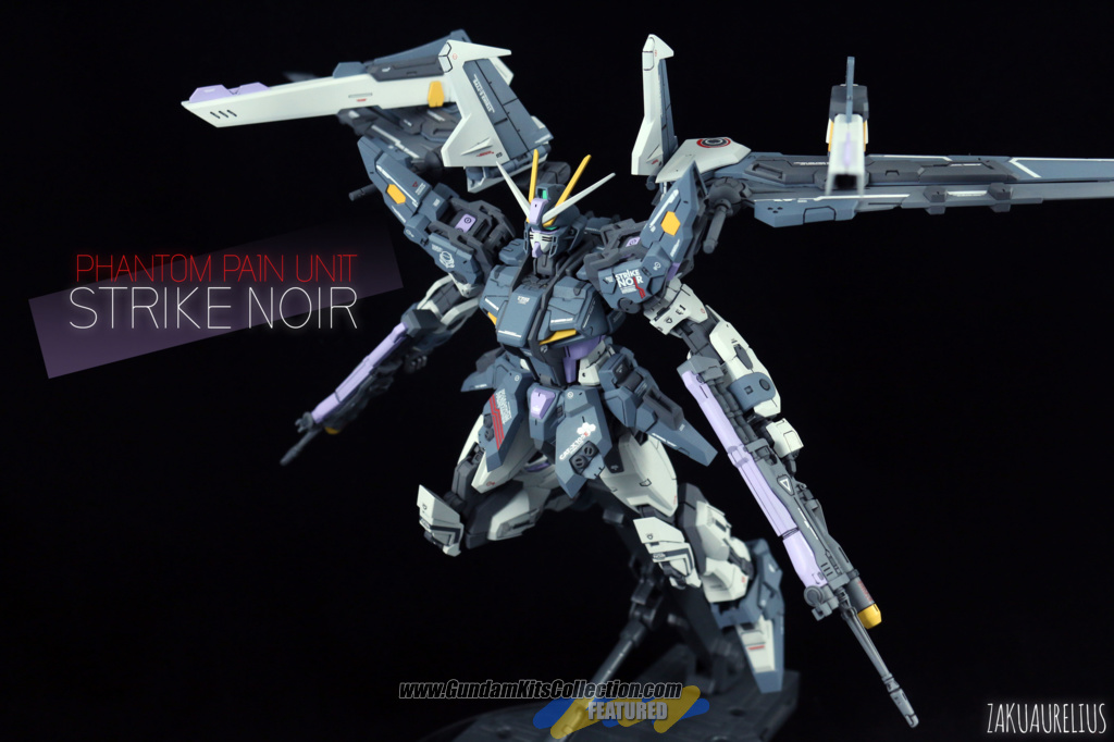 Painted Build: DM 1/100 Strike Noir