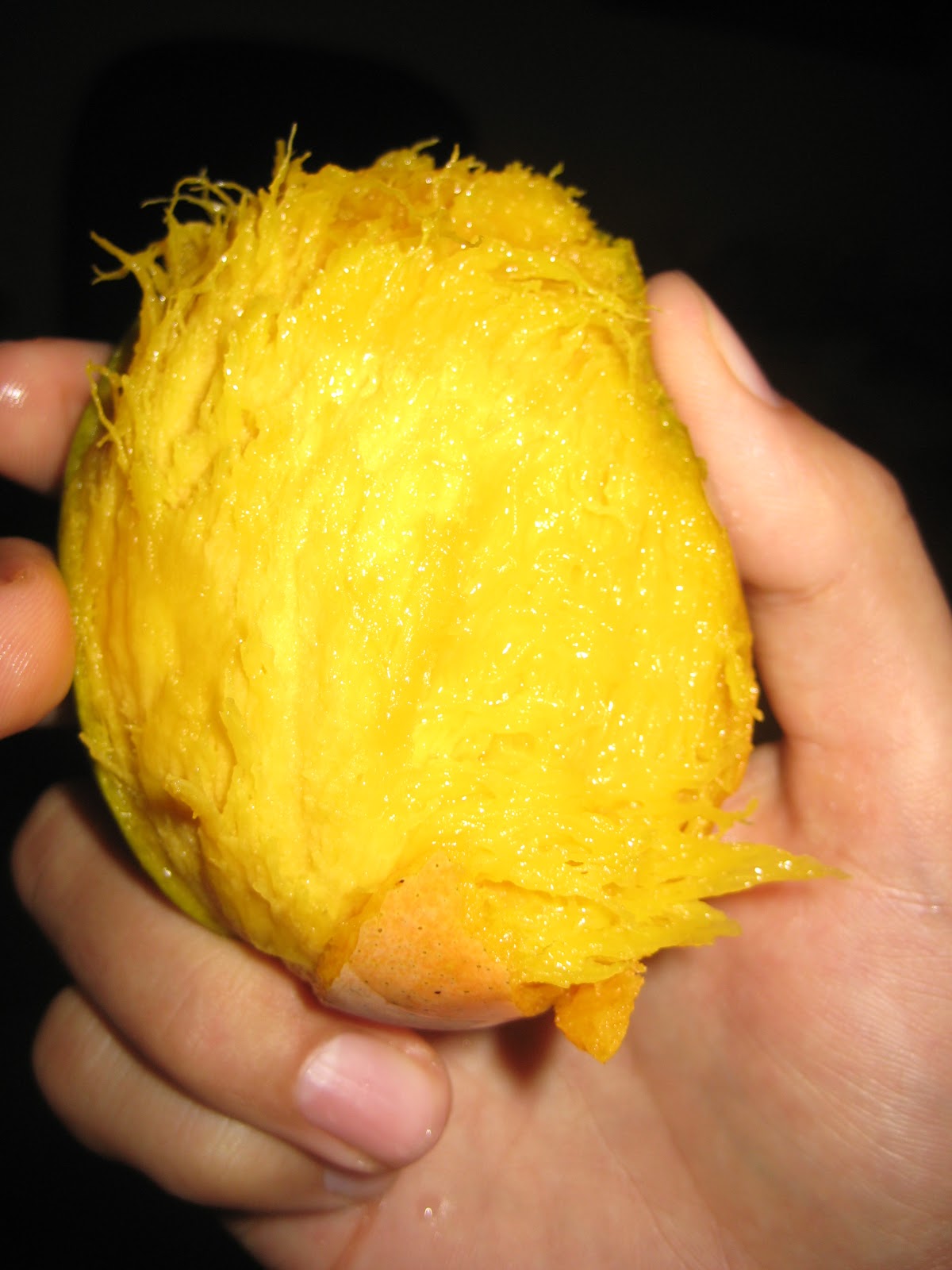 Why are Indian mangoes better than Pakistani mangoes? | PakPassion.net