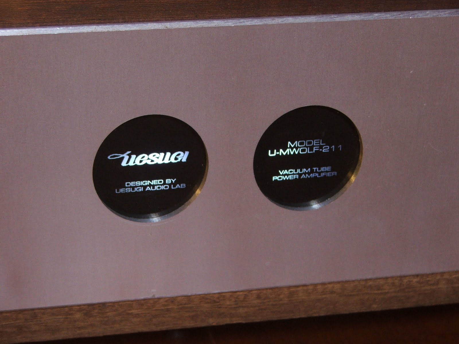 doityourselfaudio: Uesugi SE 211 Tube Amplifier