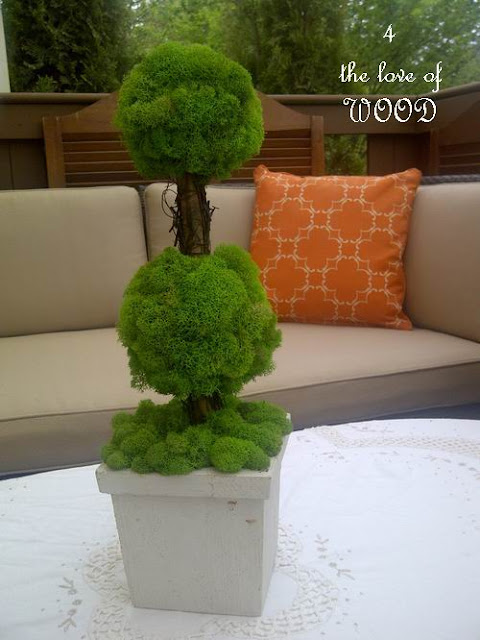 4 the love of wood: REINDEER MOSS AND ITALIAN FRAMES - topiary,florist ...