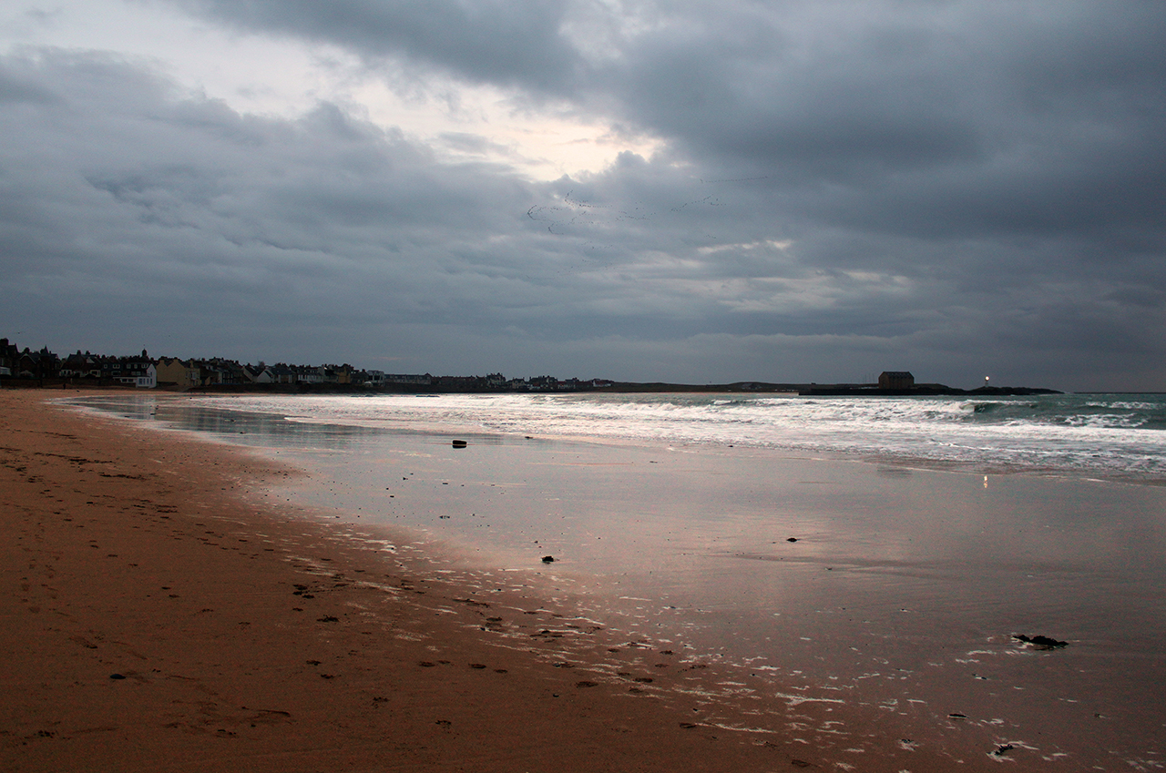 Brisk wind ... and slightly warmer