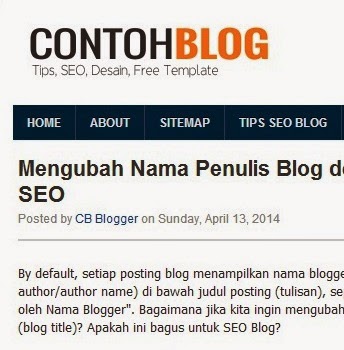 Mengubah Nama Penulis dengan Judul Blog untuk SEO > Contoh Blog