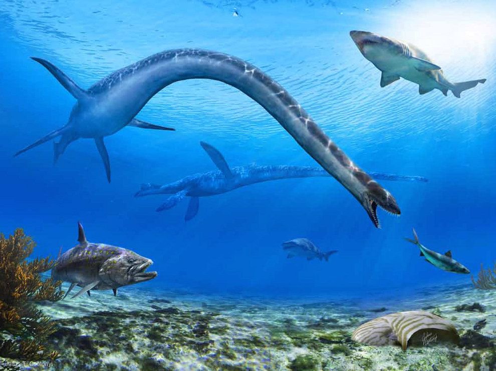 5 Dinosaurus Bawah Laut Yang Mengerikan