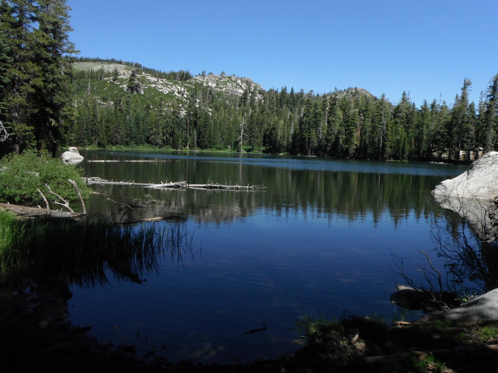 Daily Adventures: Donner Lake Rim Trail - PCT Loop