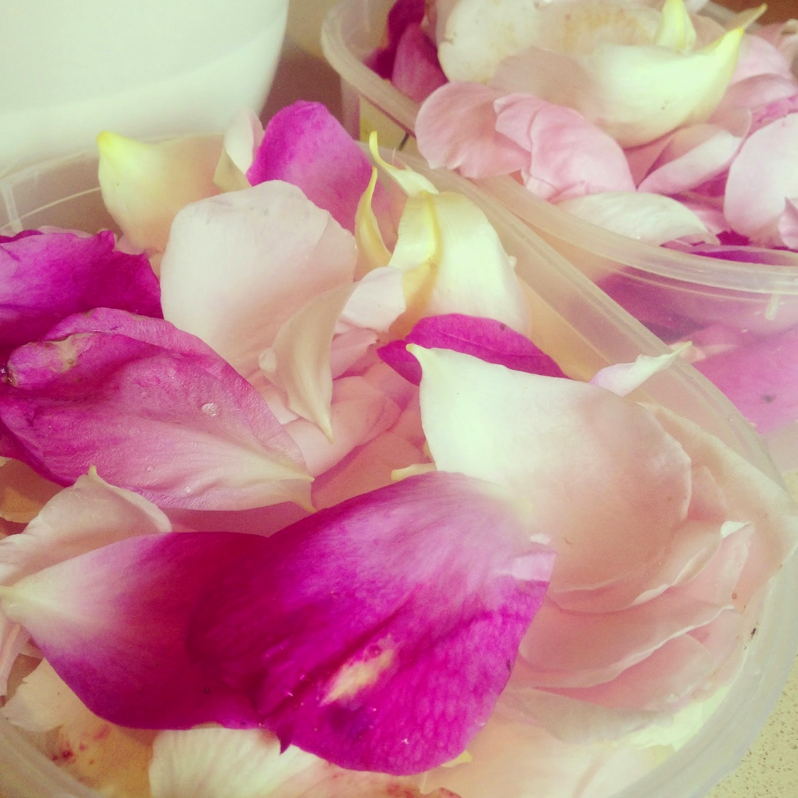 Wedding - Dried Rose Petals and Doily Confetti Cone DIY - Roses and ...