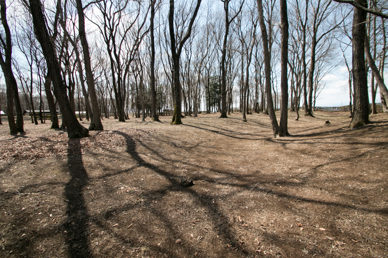 Tobiyama Castle -Modern shape castle of traditional clan- | Ken's ...