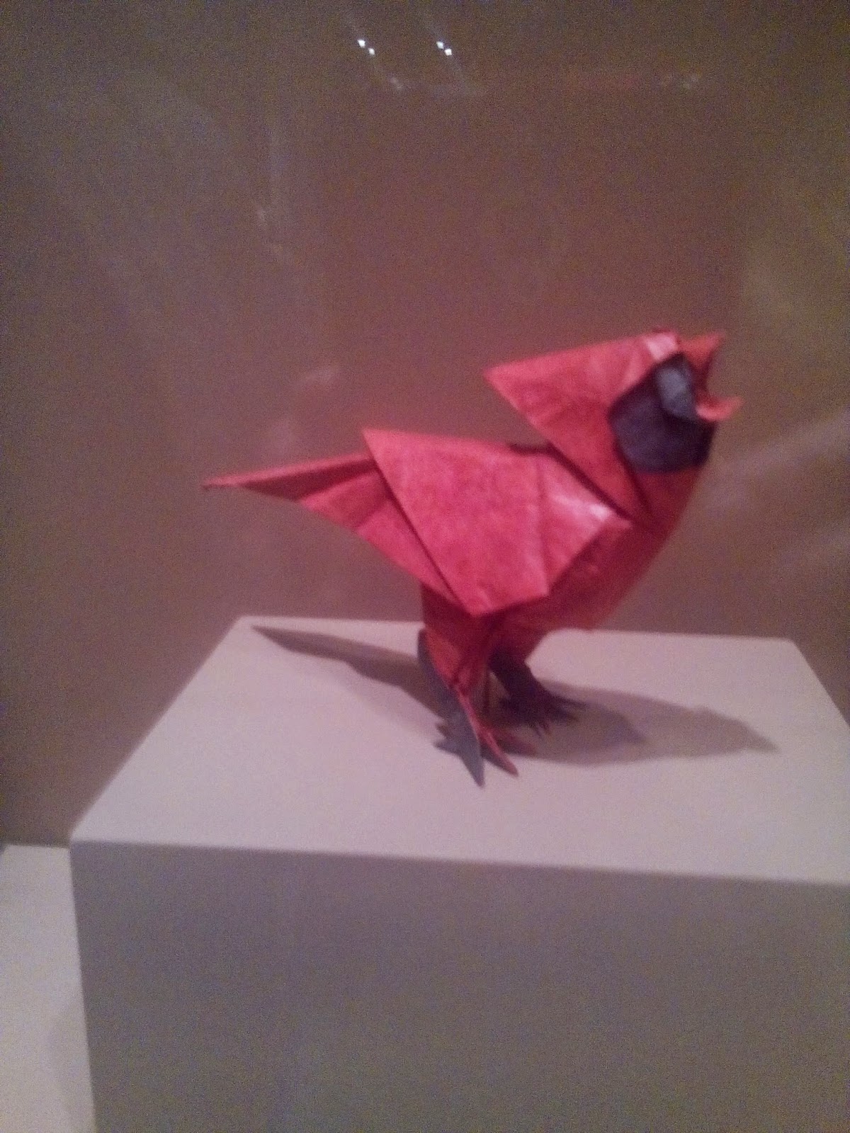 Warning this is super photo heavy ( over 50 photos)