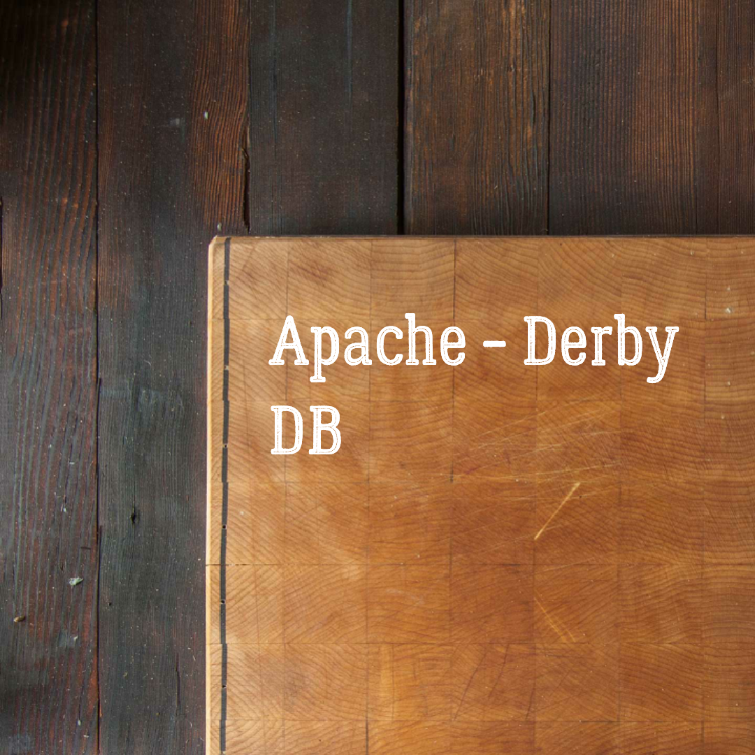 Unable To Startup Derby Database Socketpermission Middlewaretechnologies