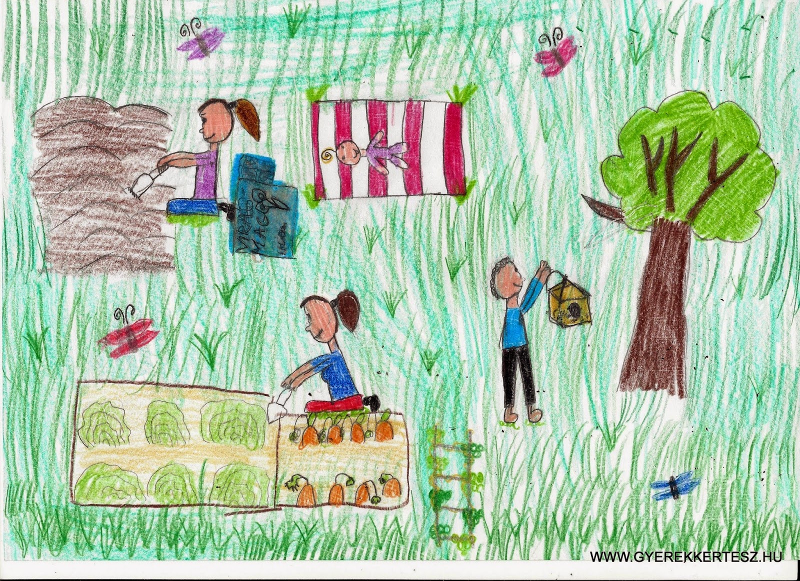 SZAMÓCA Kiskertész: A Fenntartható városi kert rajzpályázatra ...