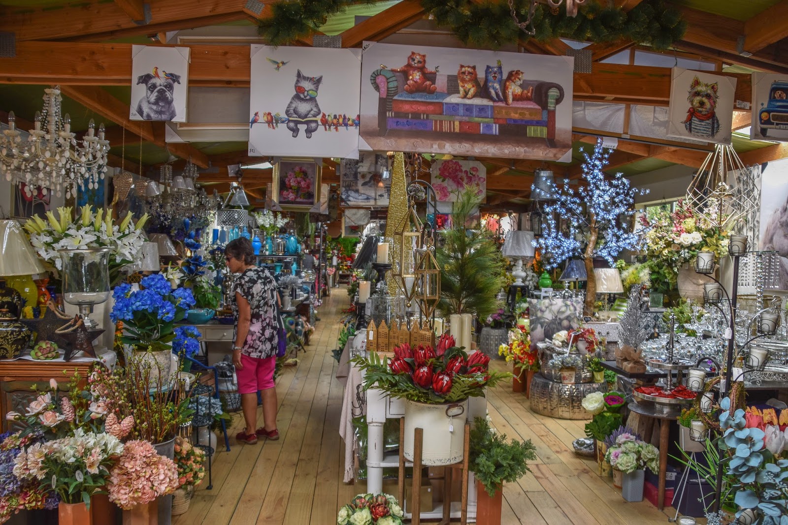 Paws Awhile: Queen of Riverstone Castle