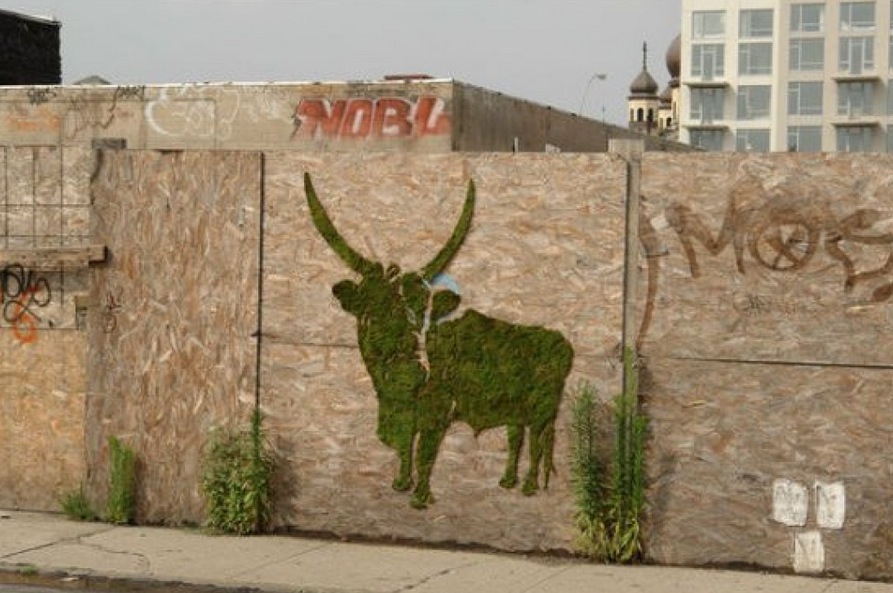 Anna Garforth, bio graffiti con mensaje ecologista | arisumisa