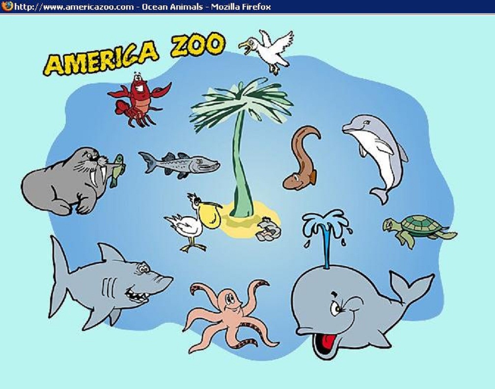 Pacific Ocean Animals List