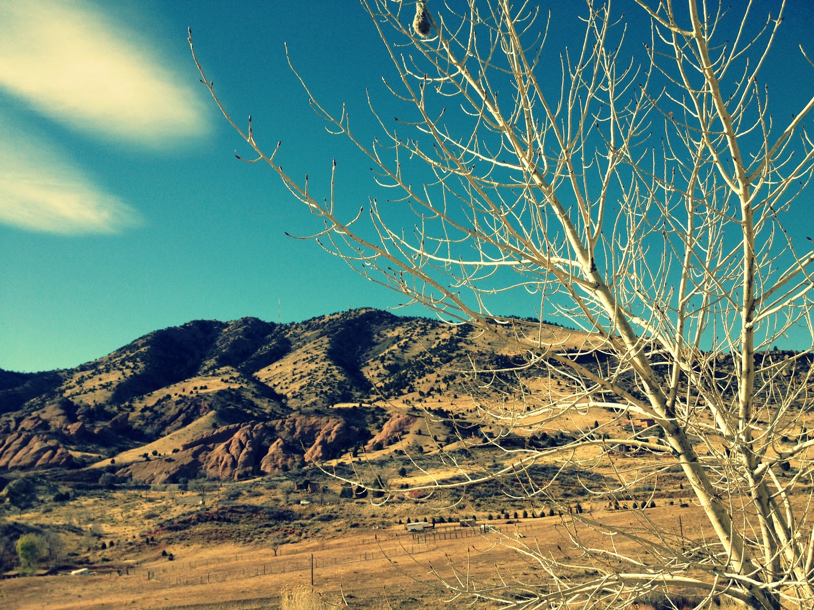 drewphotonora: Series One: Andrew Prokos