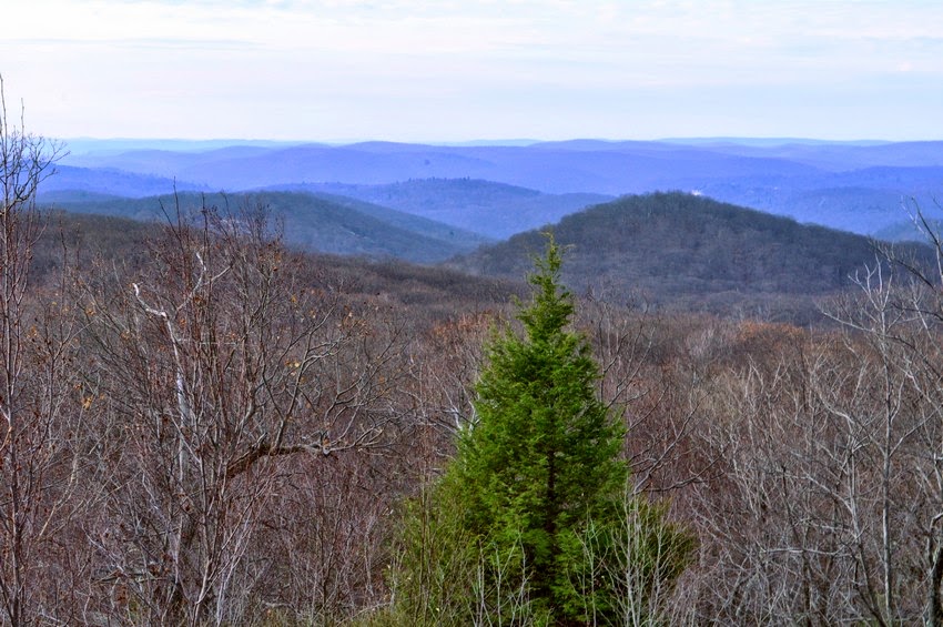 Harriman Hiker: Harriman State Park and Beyond: Black Rock Mnt and ...