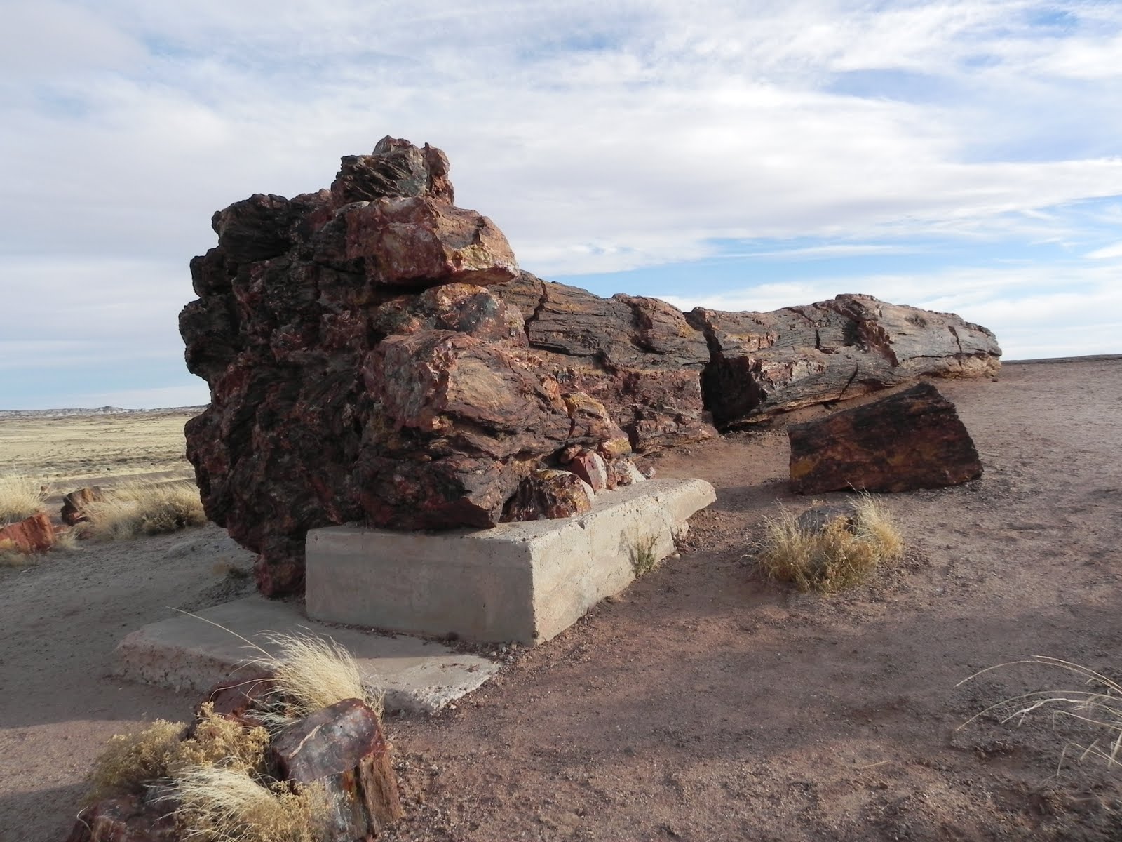 Petrified Forest National Park