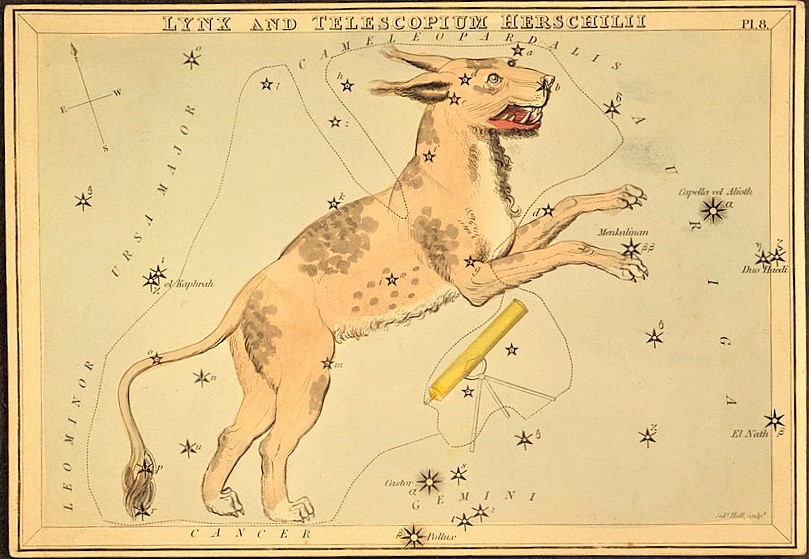 The Cuddlywumps Cat Chronicles: Cats in Space: Constellations