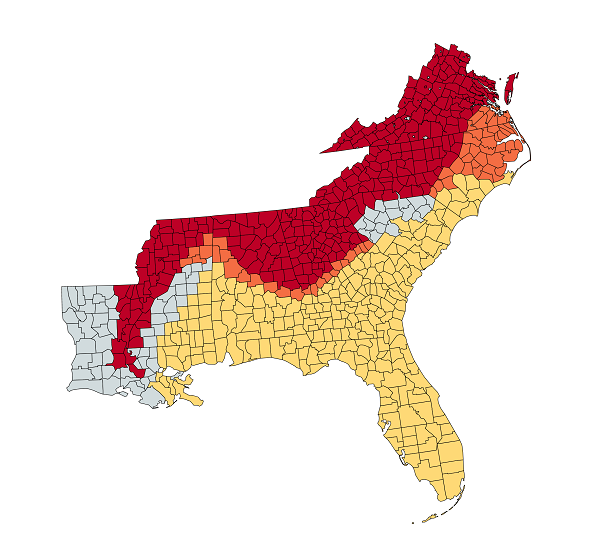 Frog Blog: American Toad vs. Southern ToadAnaxyrus americanus vs. A ...