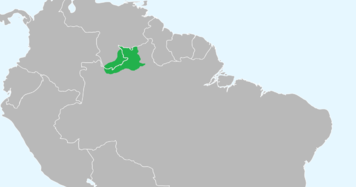 Our Indigenous World: The Yanomami People - Group 9: Where the Yanomami ...