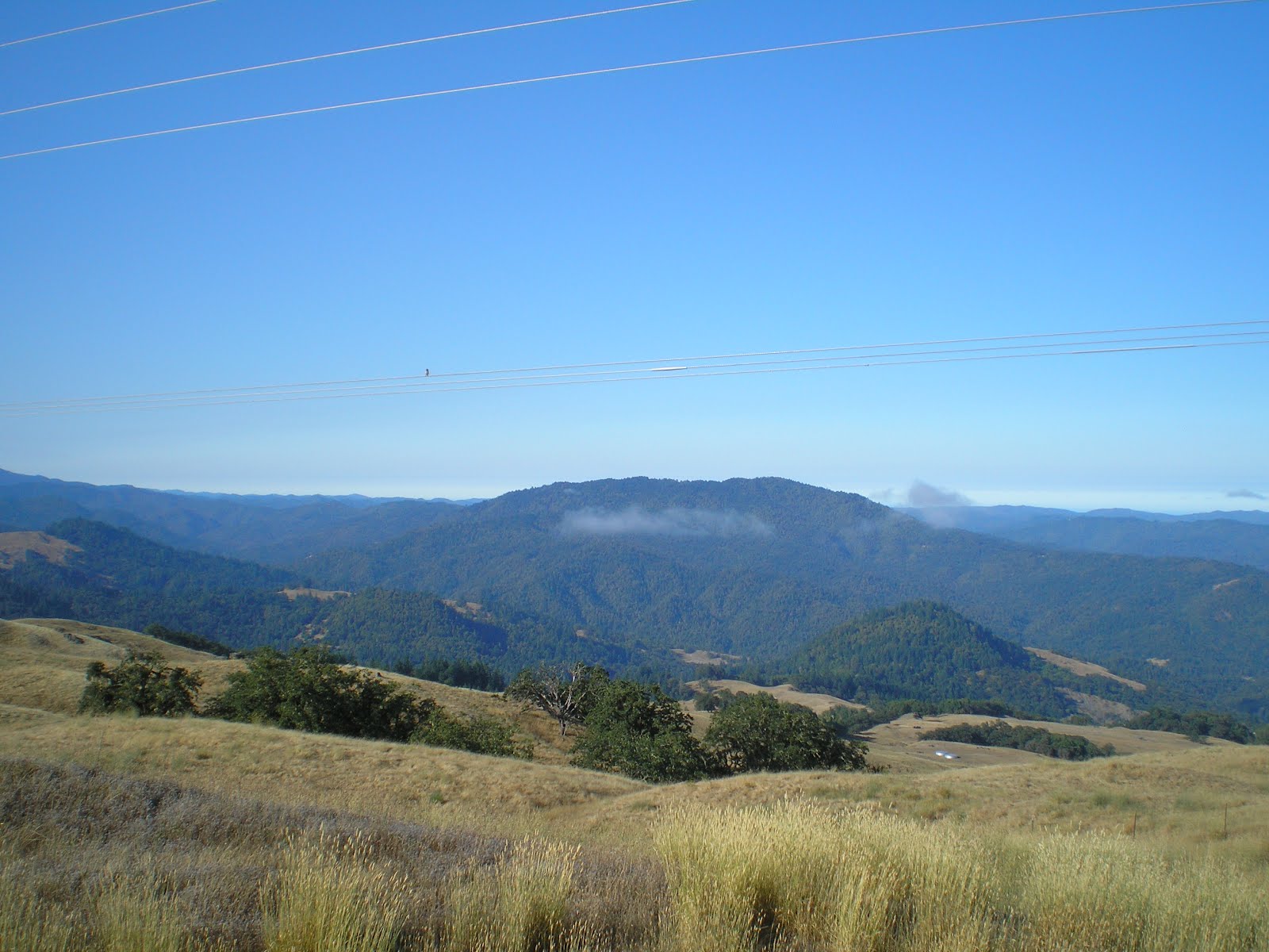 The Road Genealogist: Ruth Lake to Laytonville to Cleone, CA