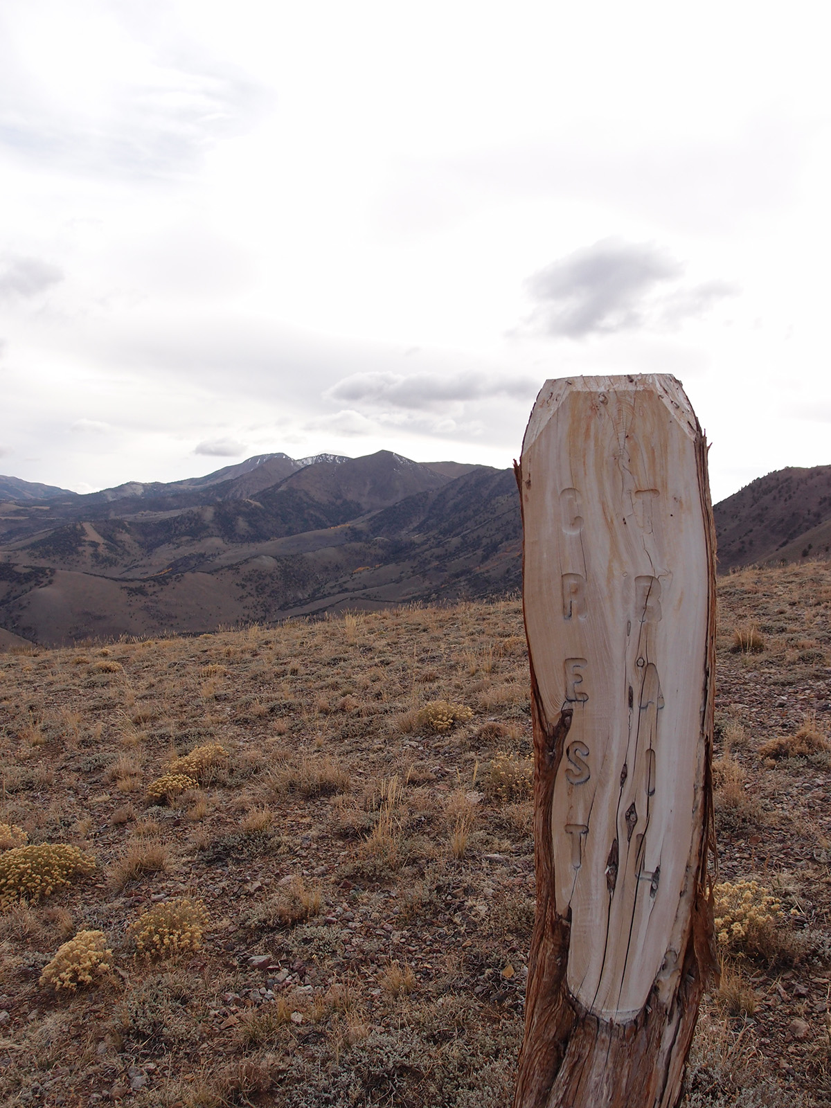 Seeking Ultra: Toiyabe Crest Trail, Nevada