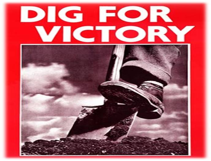 Digging for Victory at Elburton Primary School: ‘Dig for Victory ...