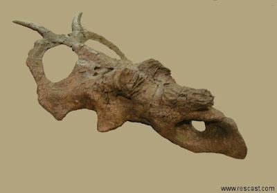 Extinct Animal of the Week: Images of Later Centrosaurines