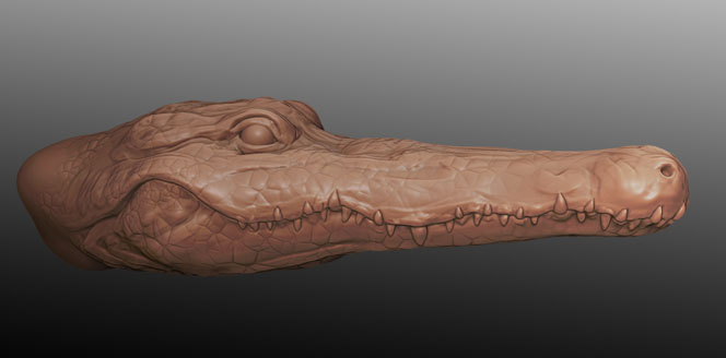 The Art of Gabriel Olson: Crocodile study