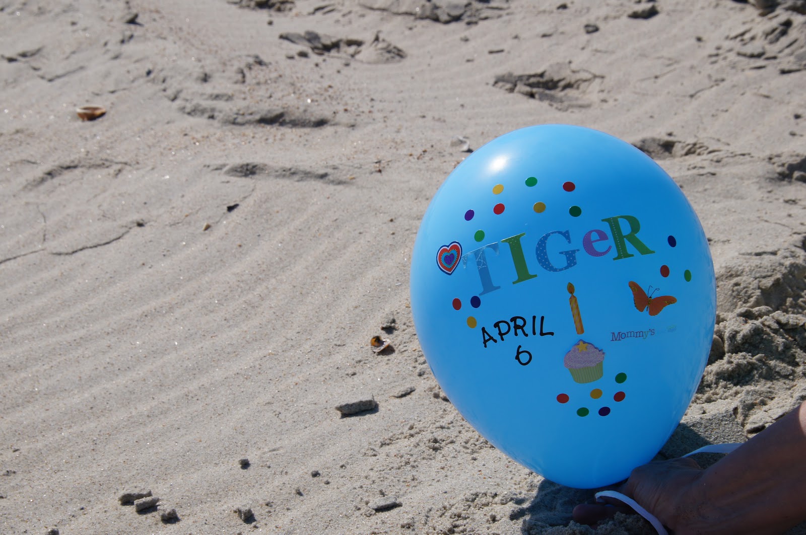 Fittsie's Angel Birthday Balloons: April Balloon Picture Releases: Part 1