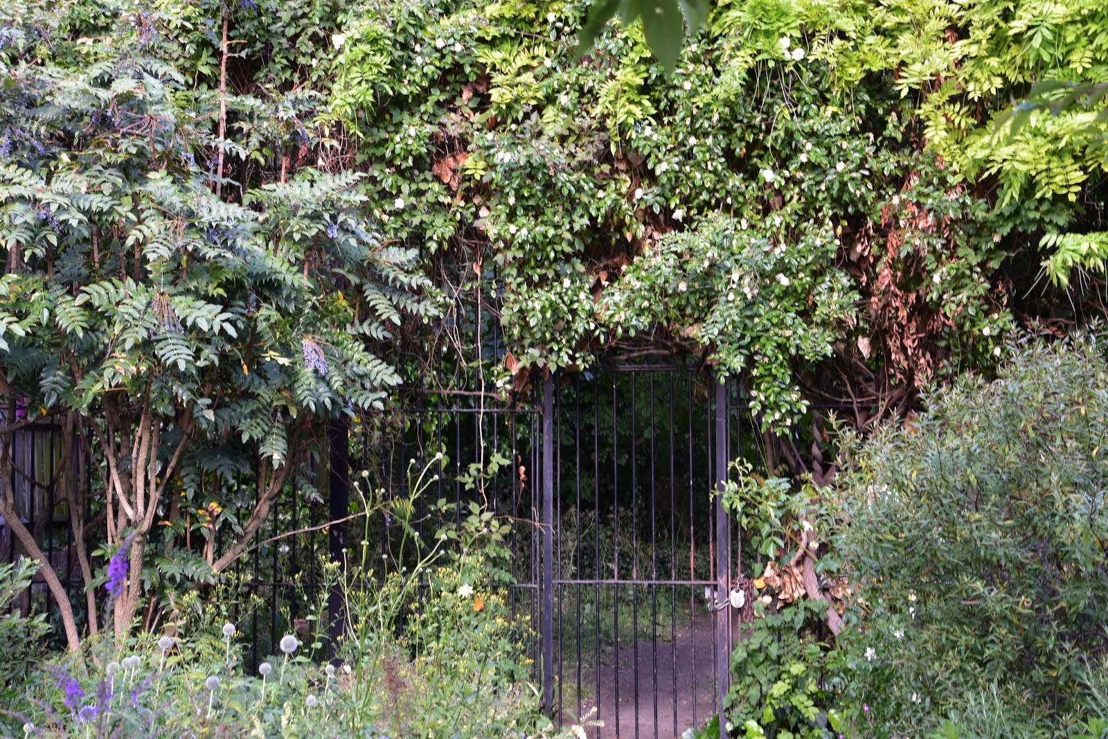 Kaul of the Wild: 2020