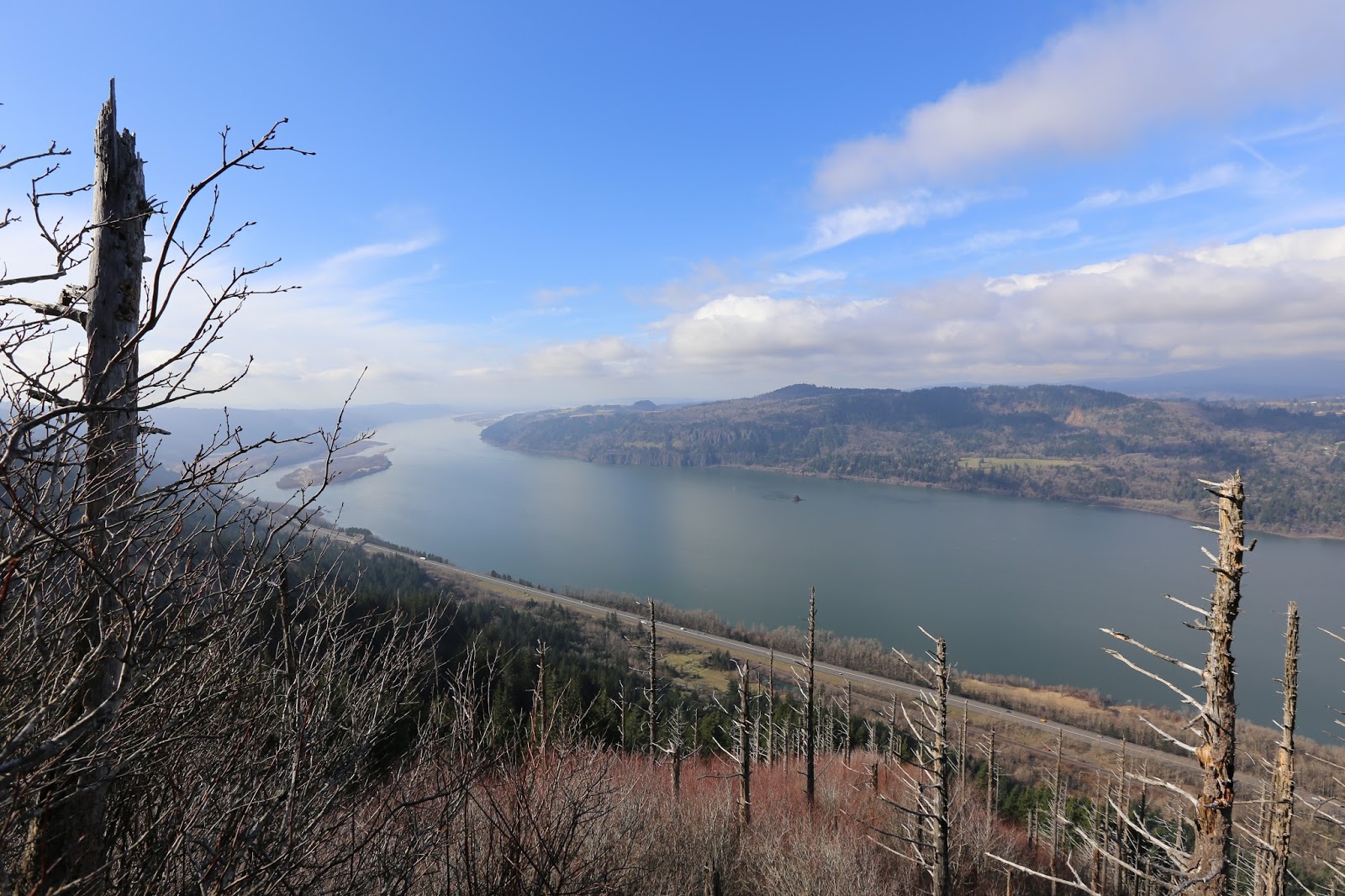 Monkey Puzzle Blog: Angel's Rest, Columbia Gorge