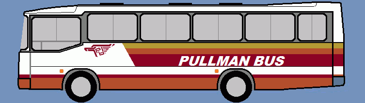 COLECCION BOLETOS DE BUSES INTERREGIONALES DE CHILE