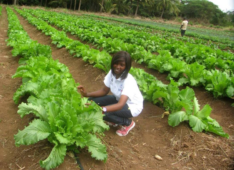 MATUKIO @ MICHUZI BLOG: TEKNOLOJIA YA UMWAGILIAJI KWA NJIA YA MATONE ...